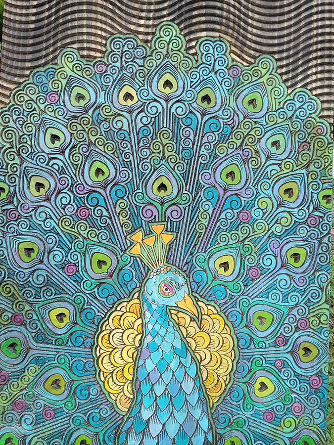 Peacock – GreatScottDesigns